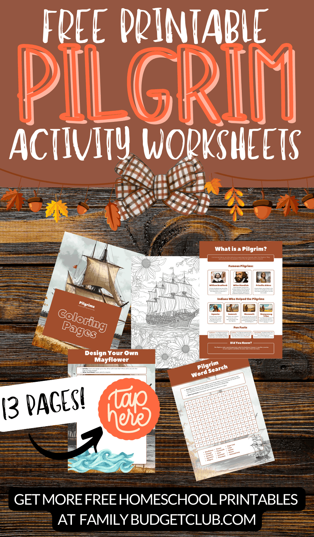 Pilgrims Activity and Facts Free Printable Worksheets - Family Budget Club